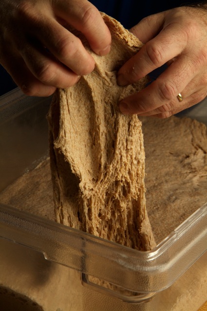 The Stretch and Fold Method - Pizza Quest with Peter Reinhart