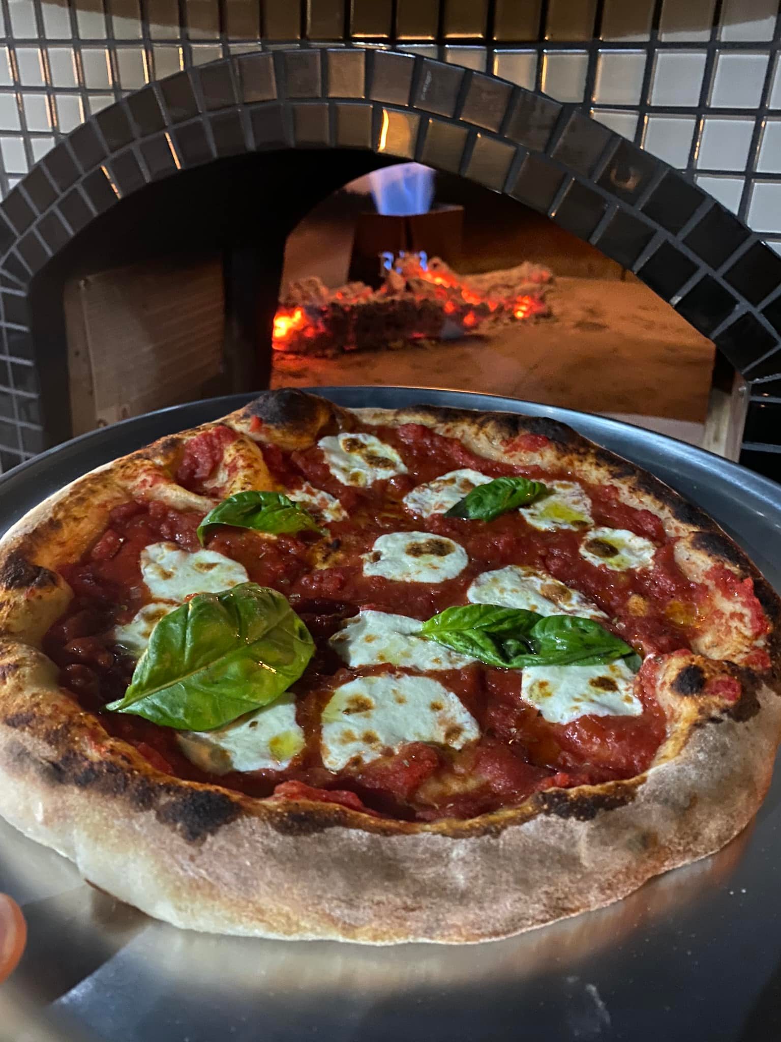 Wood and Gas Fired Vesuvio in the PA Woods - Forno Bravo. Authentic ...