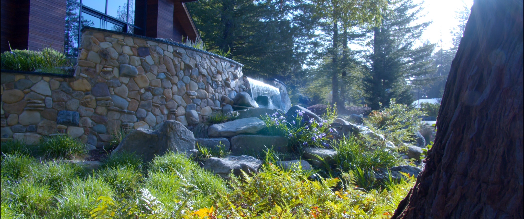 Firing Up the Flavor at 1440 Multiversity in Scotts Valley, CA - Forno ...