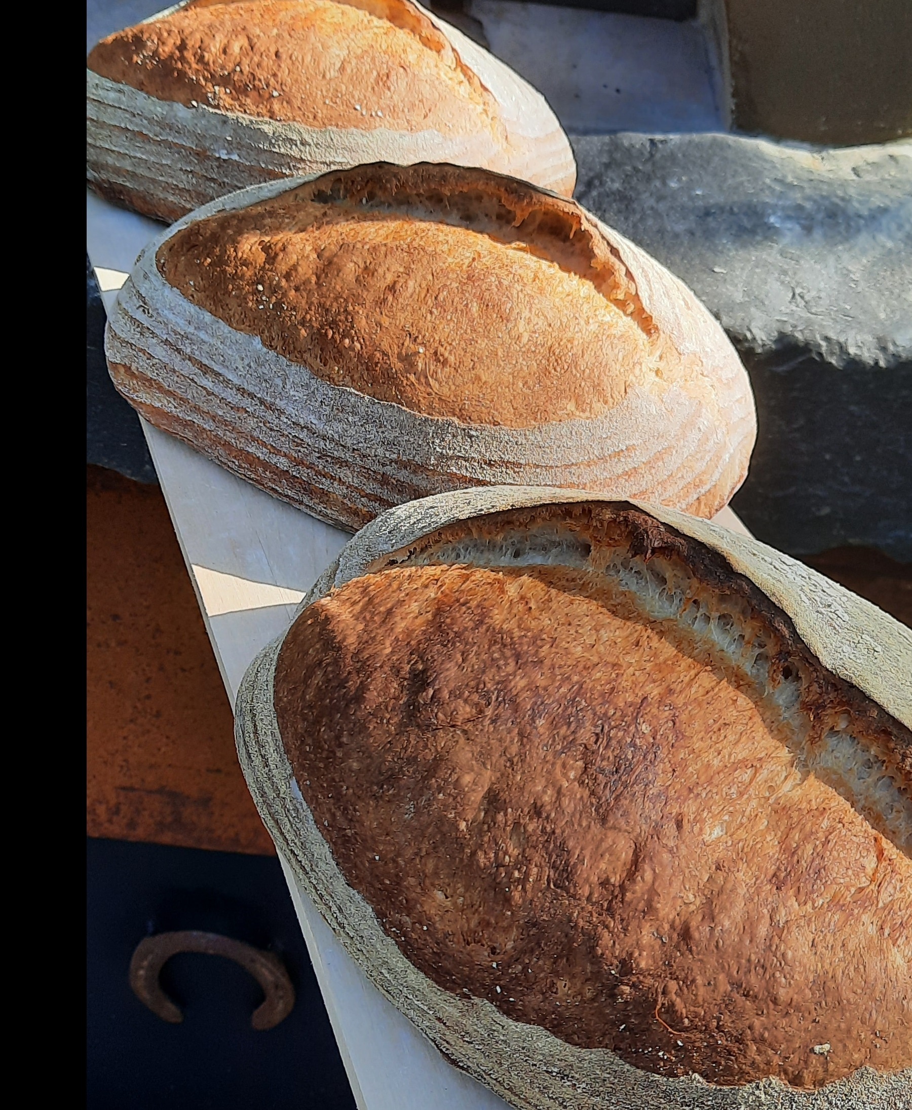 Introducing Andrea Colognese and the Jamestown Bread Project - Forno ...